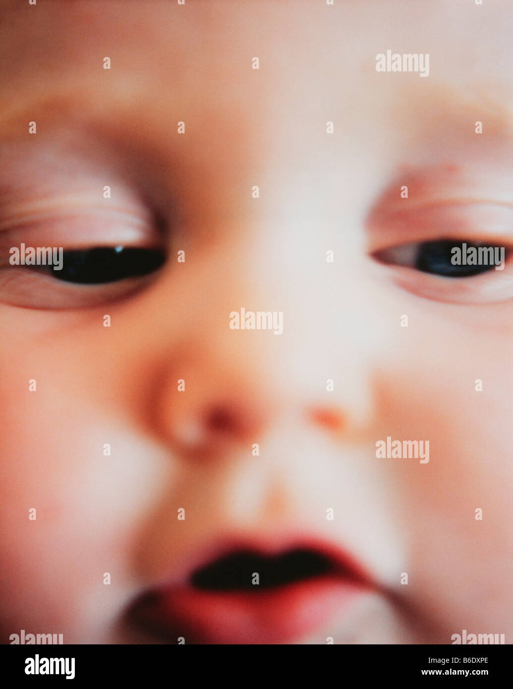 Baby's face. Face of a nine-month- old baby boy Stock Photo - Alamy