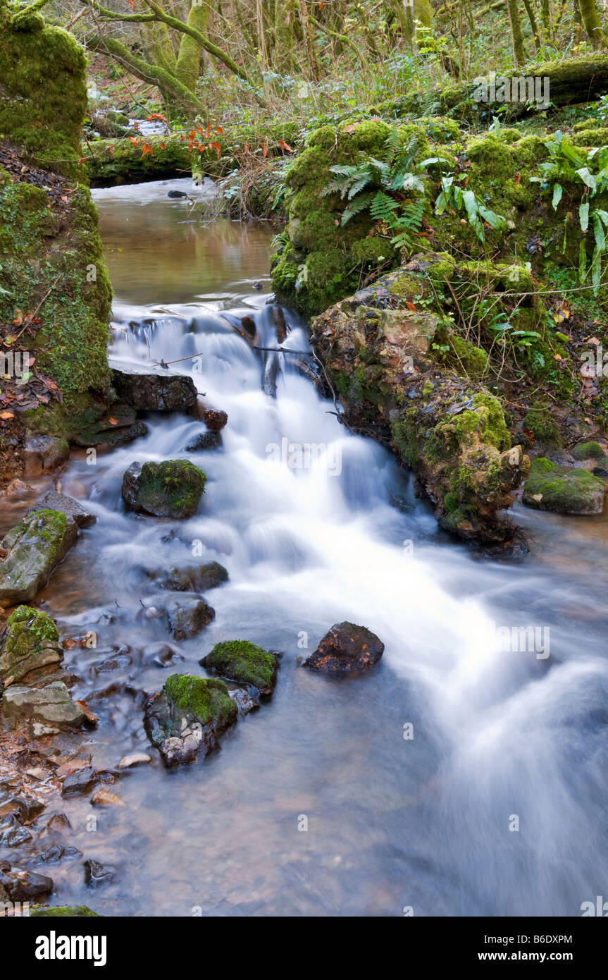 Harridge woods nature reserve hi-res stock photography and images - Alamy