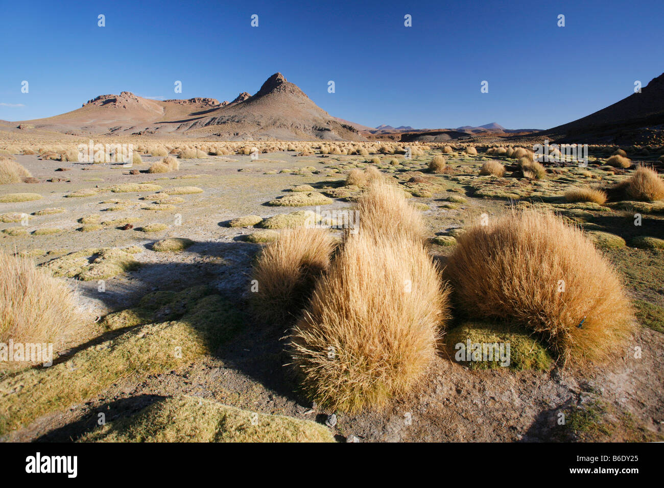 The Bolivian Altiplano near Tupiza at over 4000m above sea level Stock ...
