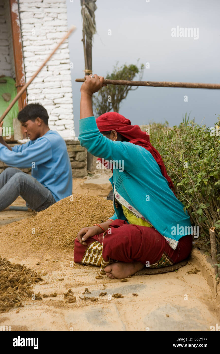 Millet threshing hi-res stock photography and images - Alamy