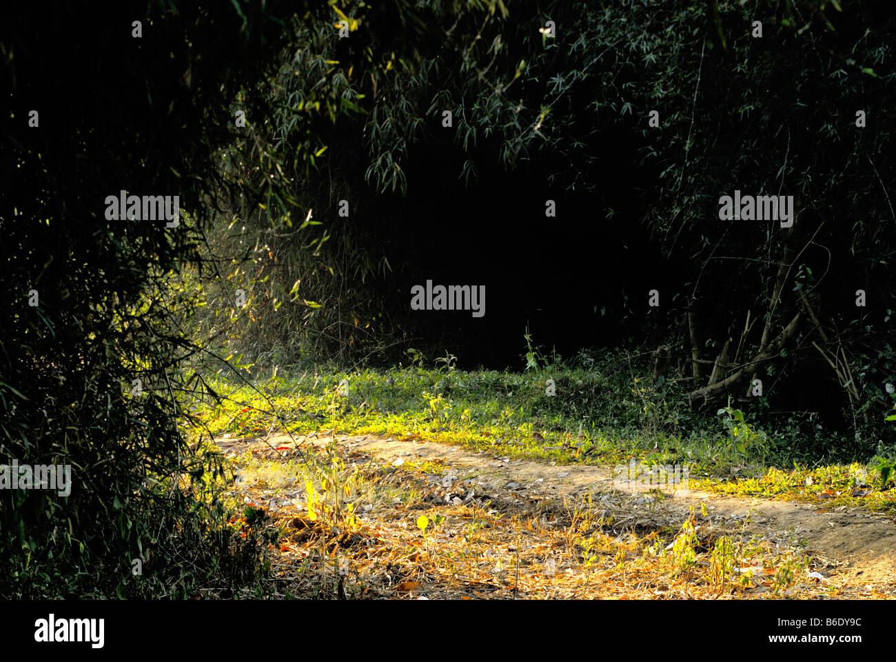 COORG IN KARNATAKA INDIA Stock Photo - Alamy