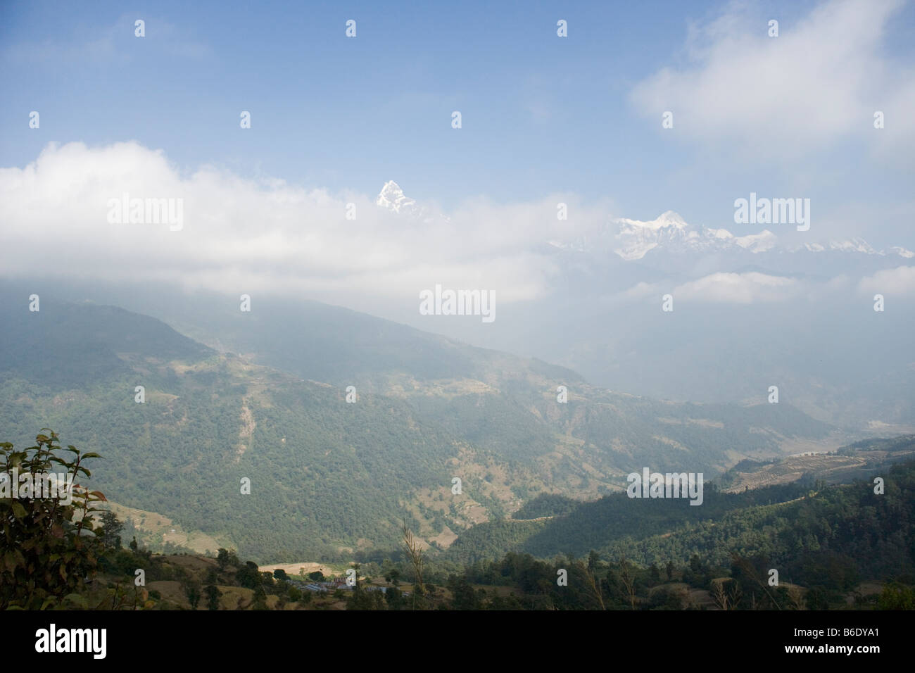 Pothana hi-res stock photography and images - Alamy