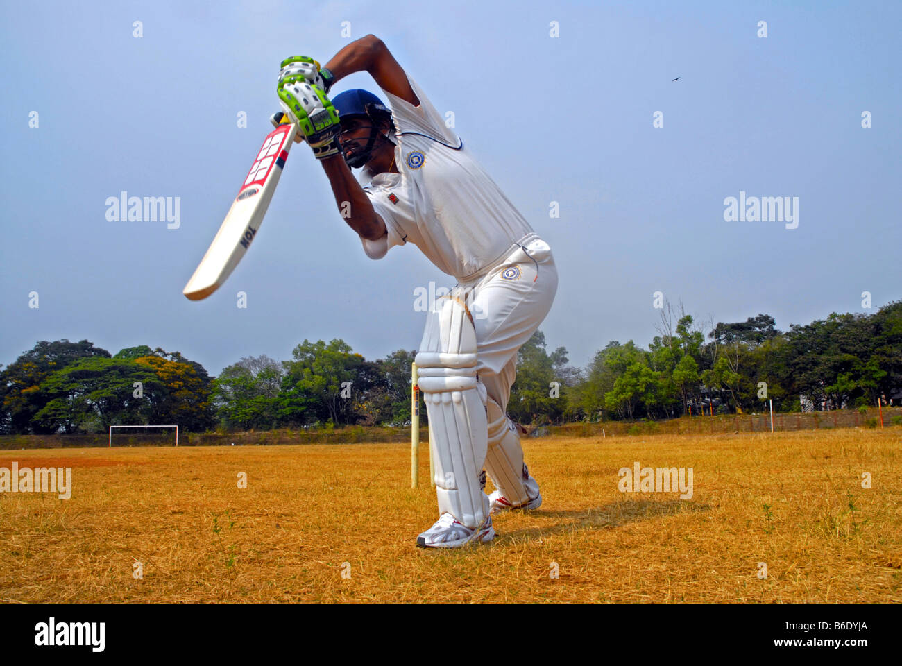 A CRICKET PLAYER Stock Photo - Alamy