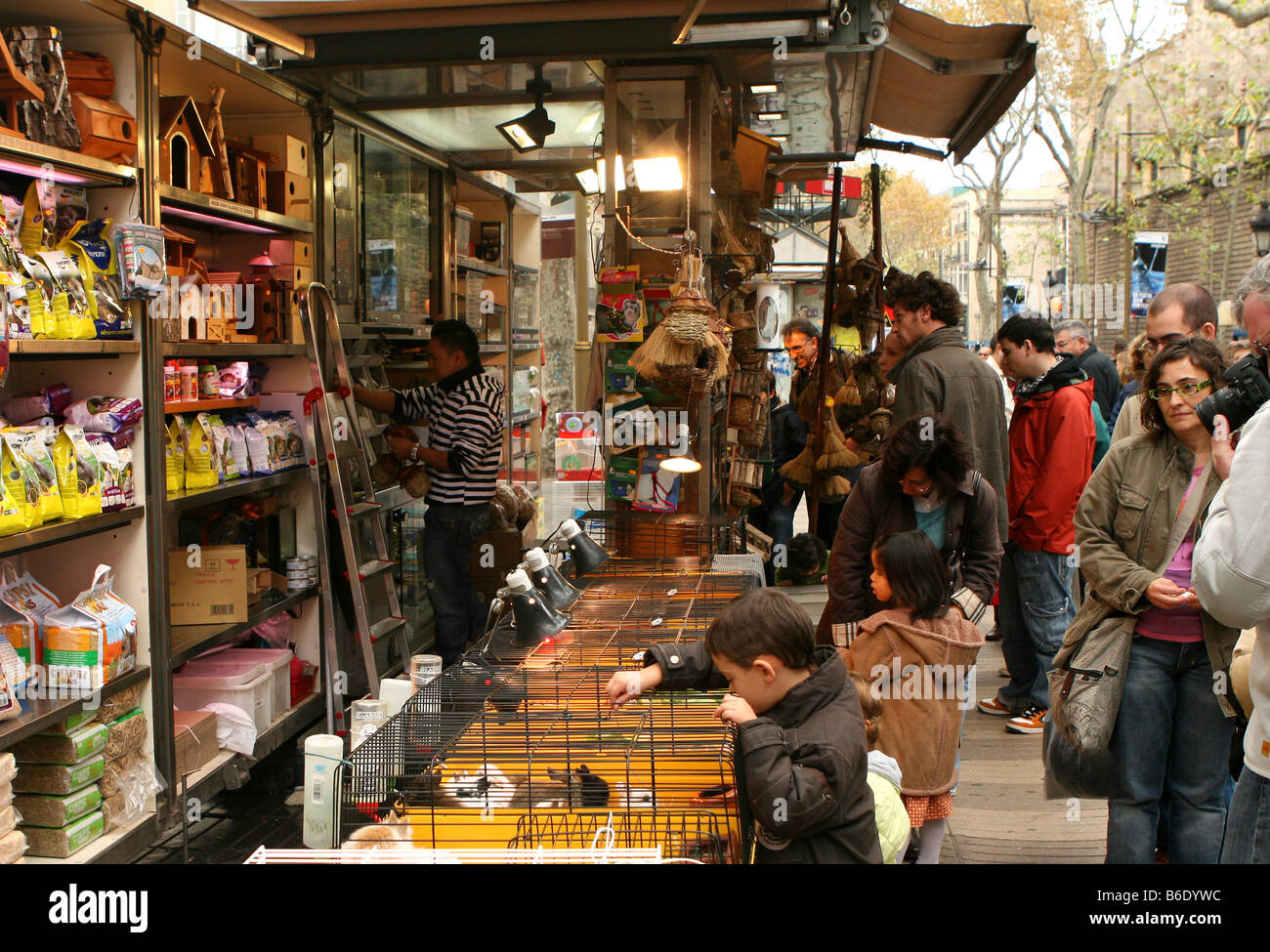 Pet stalls hi-res stock photography and images - Alamy
