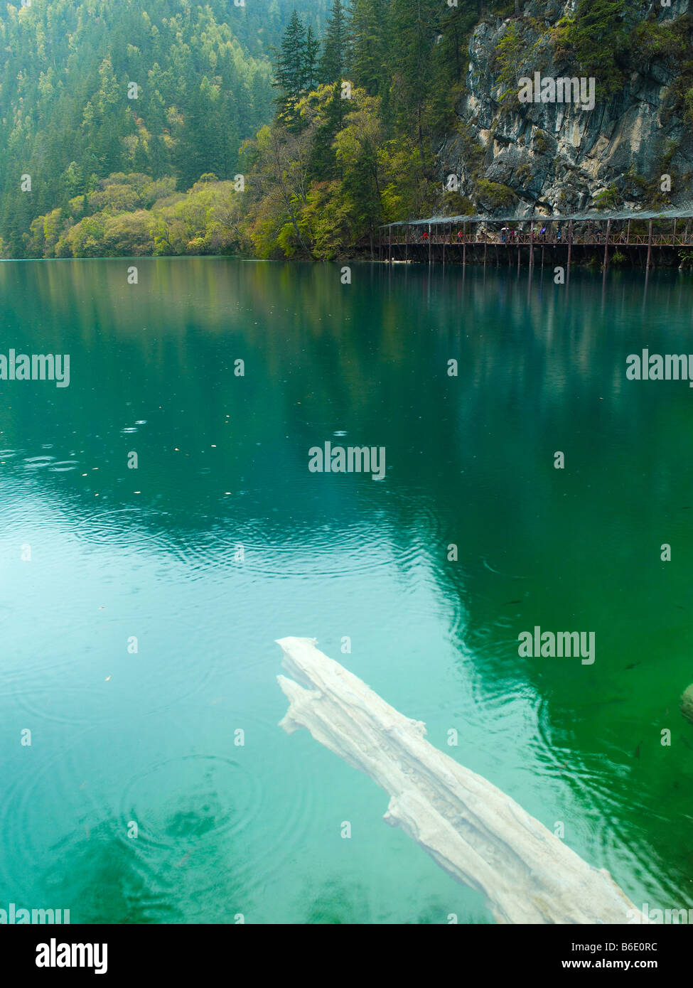 The Panda Lake, Jiuzhaigou, Sichuan Province, Peoples Republic of China ...