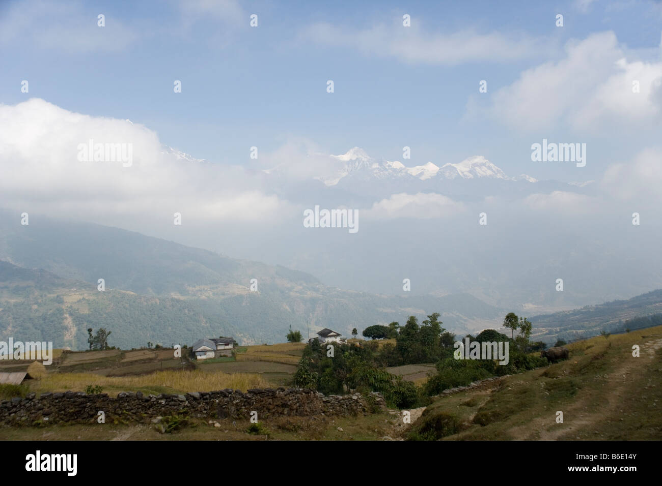 Pothana hi-res stock photography and images - Alamy