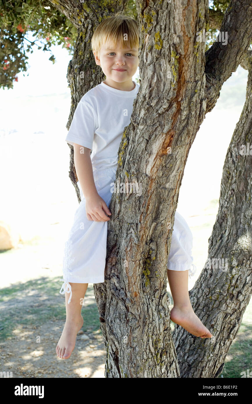 Boy sitting in tree climbed hi-res stock photography and images - Alamy