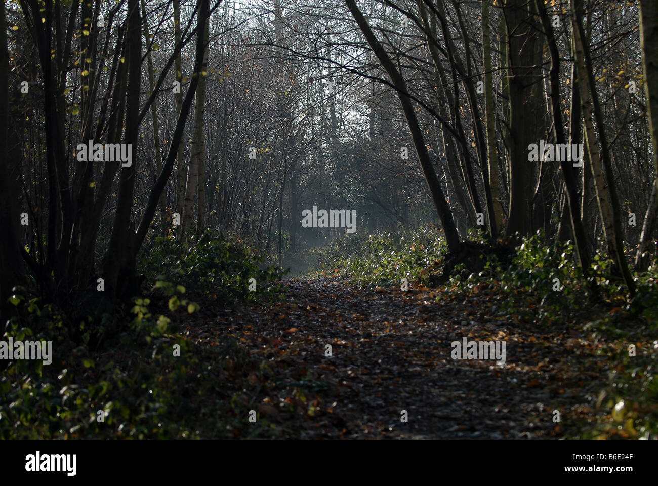 Belhus essex hi-res stock photography and images - Alamy