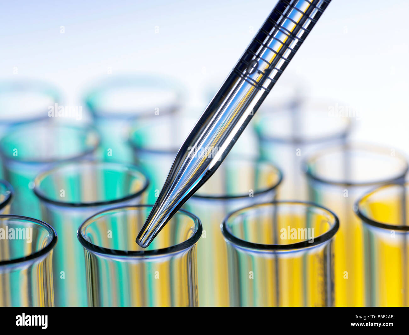 Pipetting. Graduated pipette with test tubes Stock Photo - Alamy