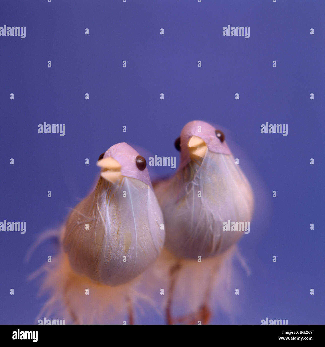 Love birds, Pair of model doves. The dove is often used to signify love ...
