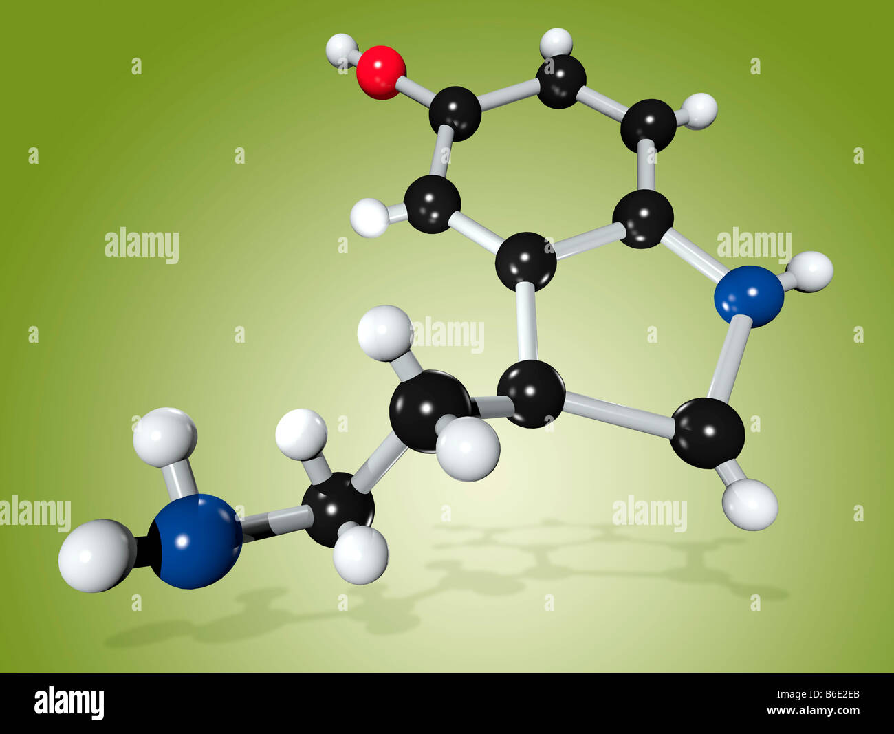 Serotonin molecule. Molecular model of theneurotransmitter (nerve ...