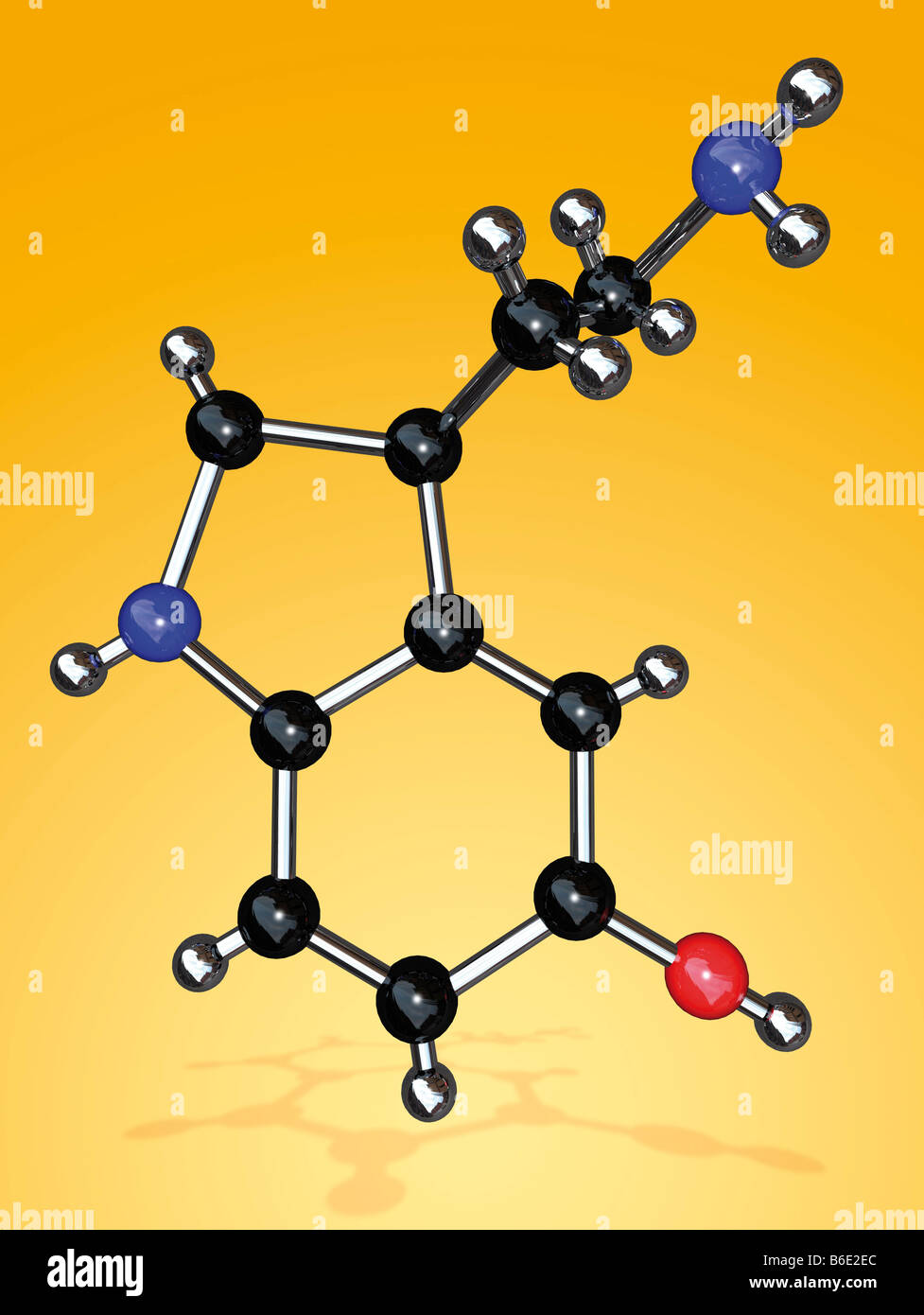 Serotonin molecule. Molecular model of theneurotransmitter (nerve ...