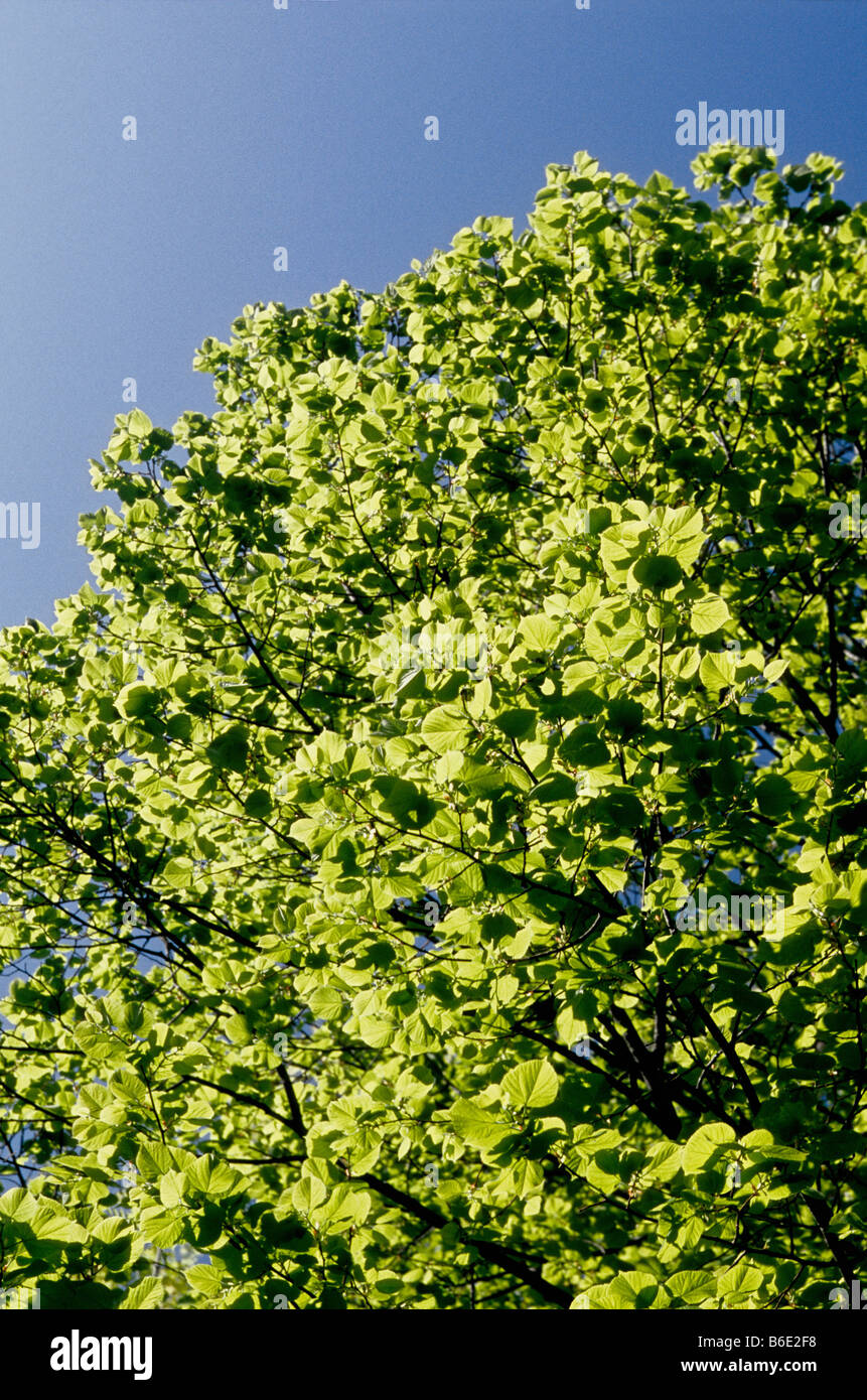 Spring french sky hi-res stock photography and images - Alamy