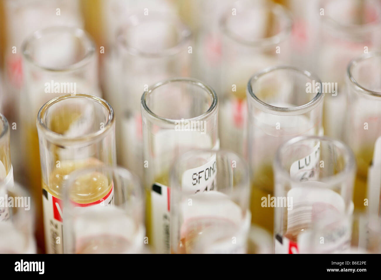 Blood samples. Barcoded test tubes containing blood samples Stock Photo ...