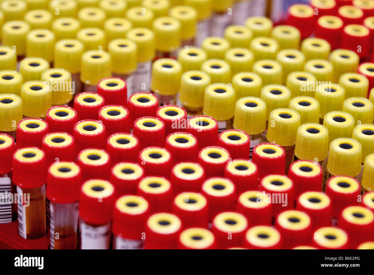 Blood samples. Barcoded vacutainer tubes containing blood samples Stock ...