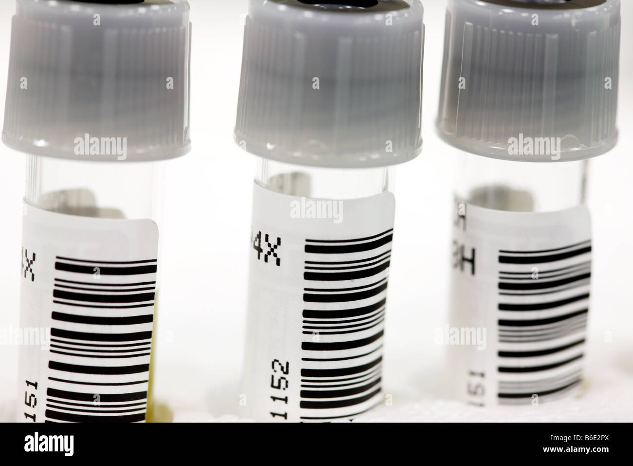 Barcode Barcodes Label Stock Photos & Barcode Barcodes Label Stock ...