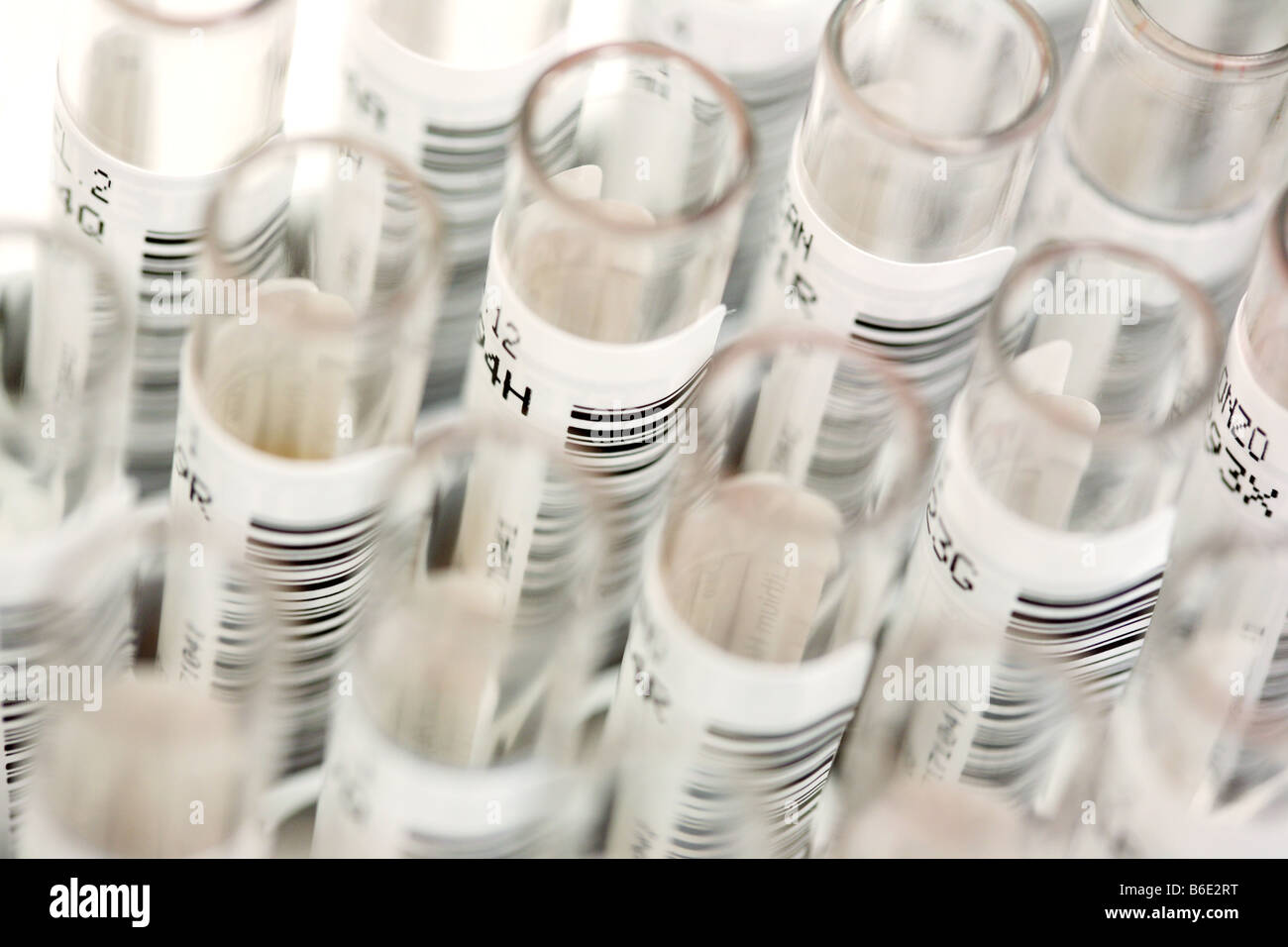 Blood samples. Barcoded test tubes containingblood samples Stock Photo ...