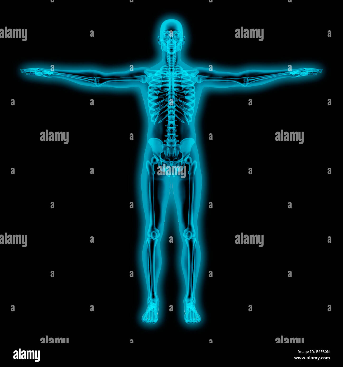 Human skeleton arms outstretched hi-res stock photography and images ...