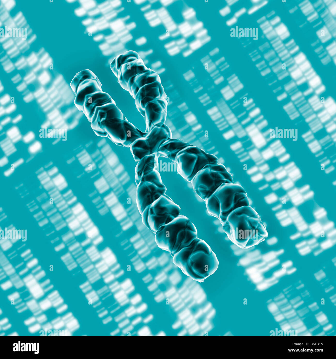 Computer artwork of chromosomes Stock Photo - Alamy
