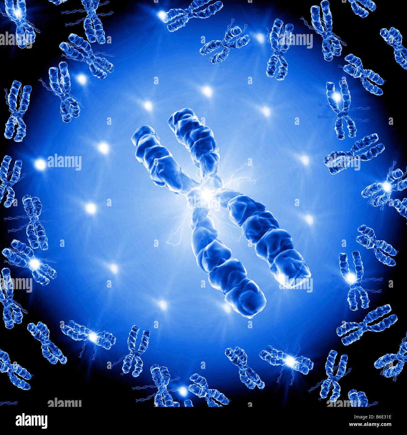 Computer artwork of chromosomes Stock Photo - Alamy