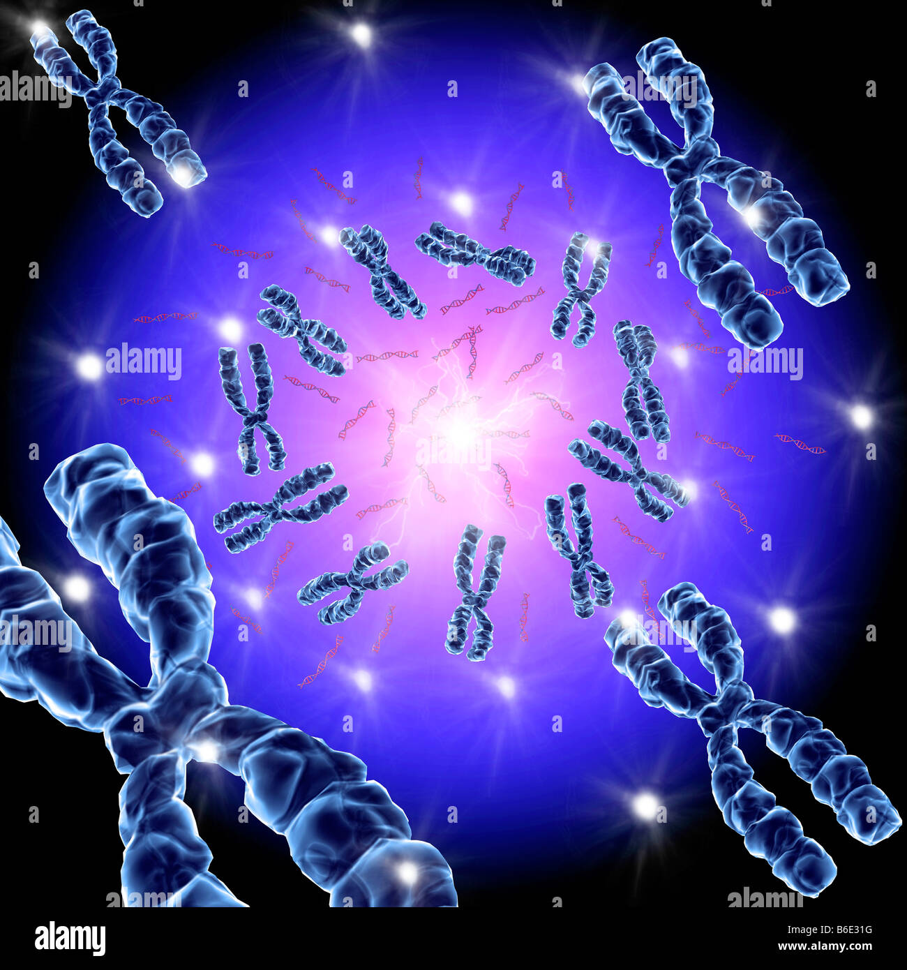 Computer artwork of chromosomes Stock Photo - Alamy