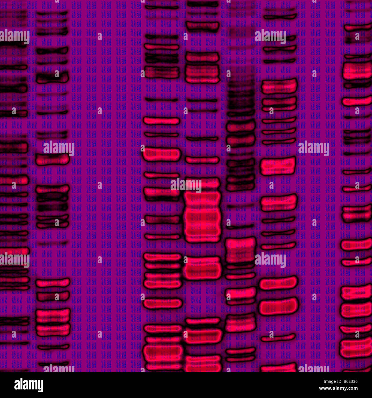 DNA Radiograph Shows Nucleotide Sequence Stock Photo - Alamy