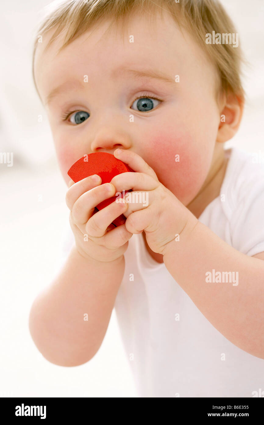 Baby boy chewing on toy block Stock Photo - Alamy