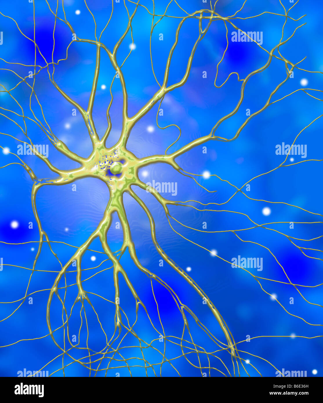 Nerve cell, computer artwork Stock Photo - Alamy