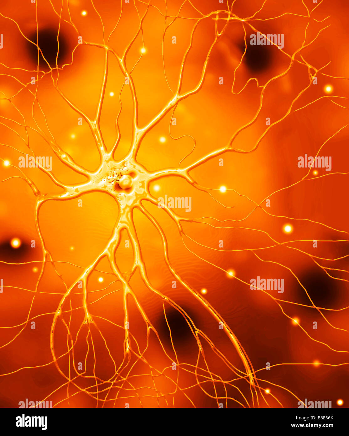 Relay neuron hi-res stock photography and images - Alamy