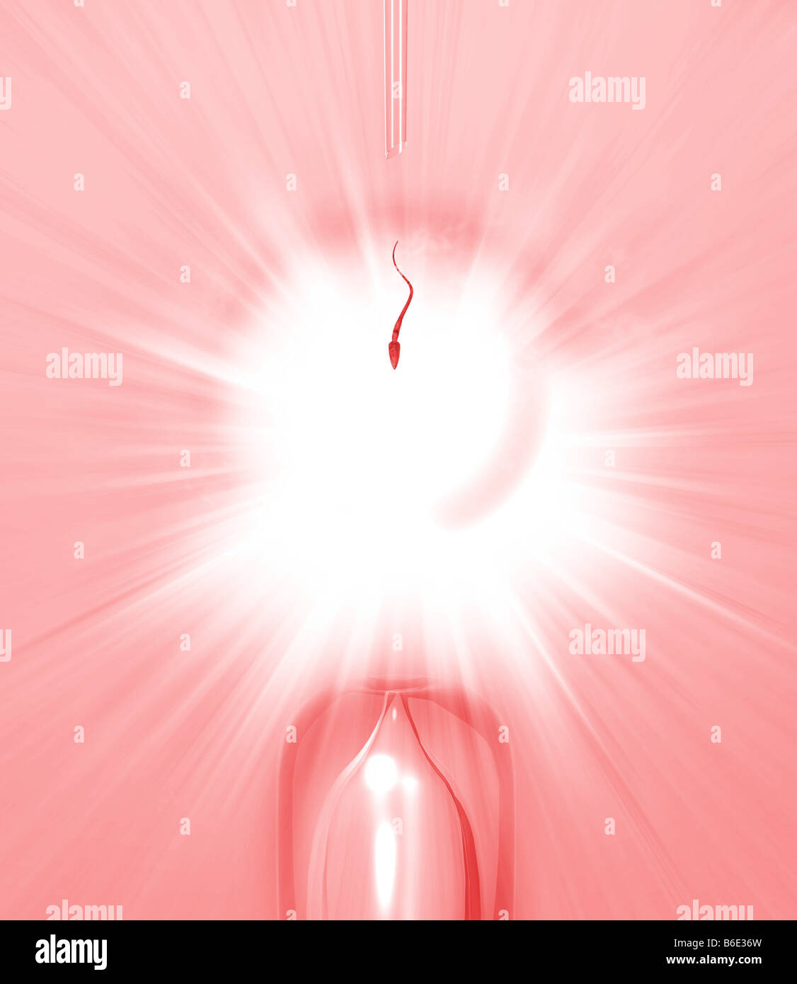 In vitro fertilization (IVF Stock Photo - Alamy