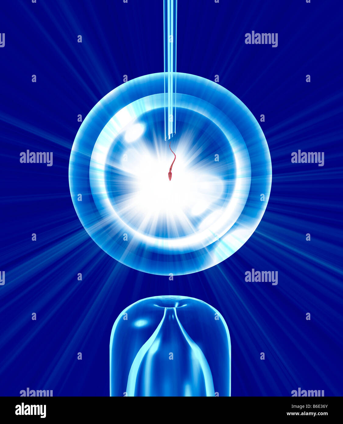 In vitro fertilization (IVF Stock Photo - Alamy
