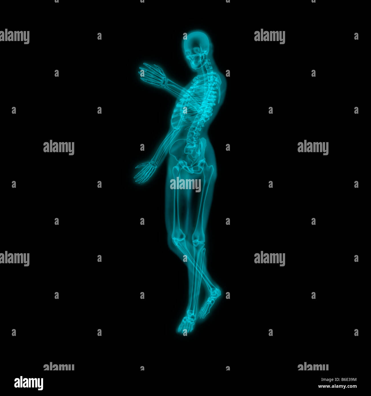 Human skeleton against black background Stock Photo - Alamy
