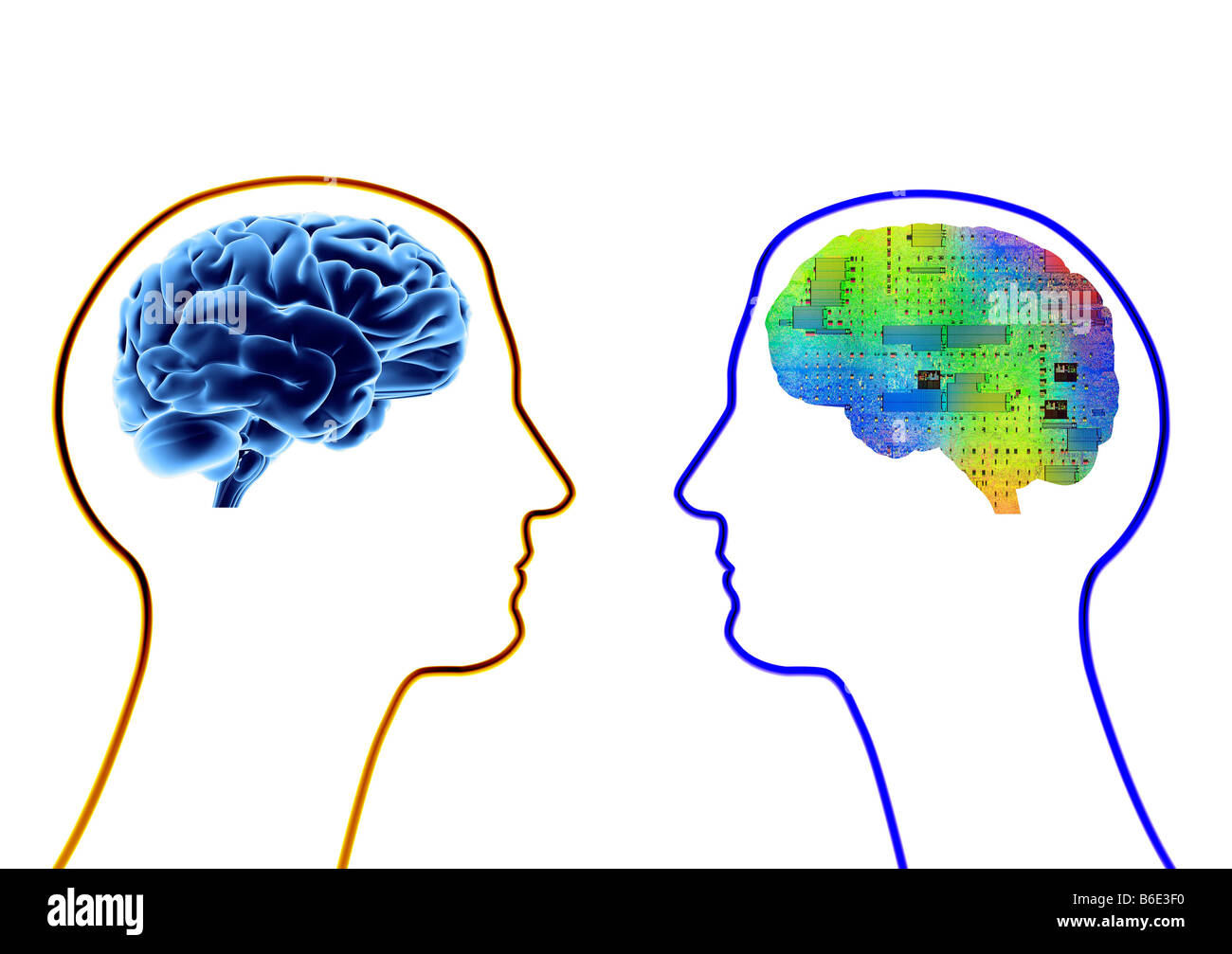 Artificial head Cut Out Stock Images & Pictures - Alamy