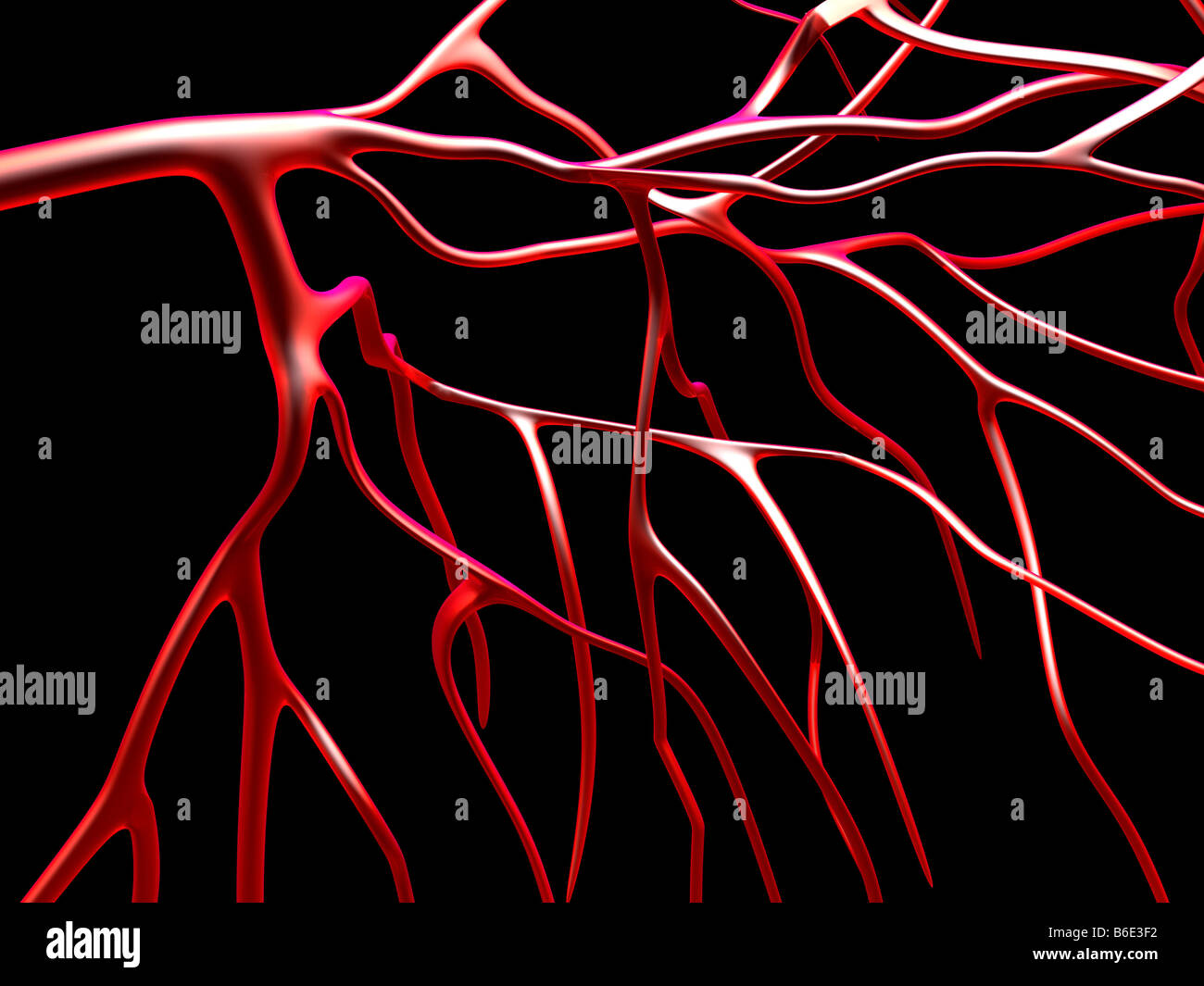 Arteries against black background Stock Photo - Alamy