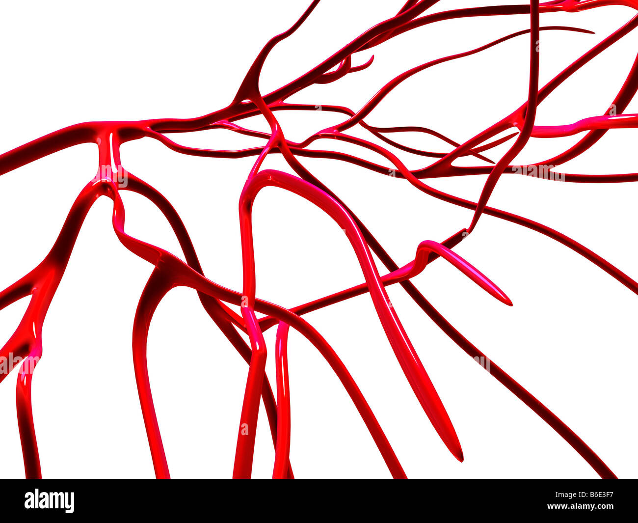 Arteries against white background Stock Photo - Alamy