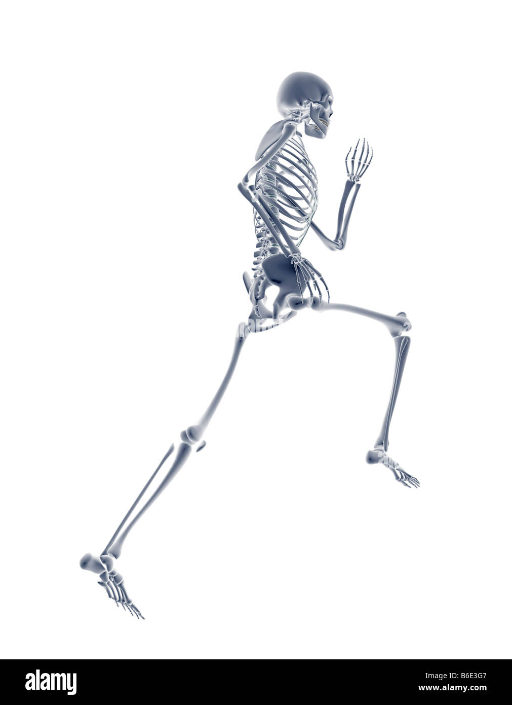 Human skeleton running against black background Stock Photo - Alamy