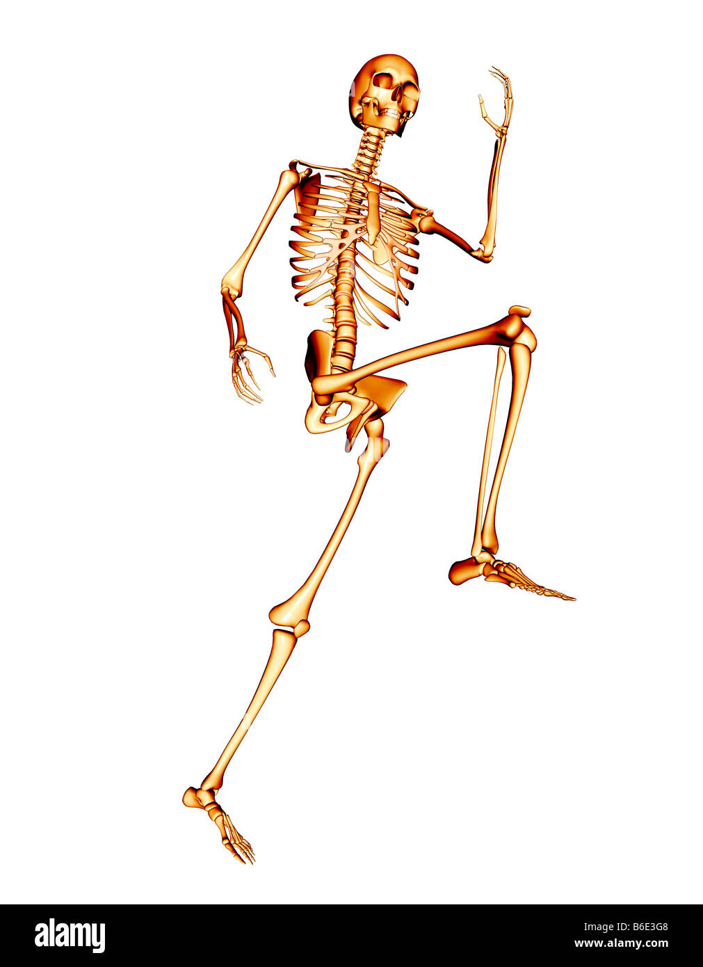 Human skeleton running against black background Stock Photo - Alamy