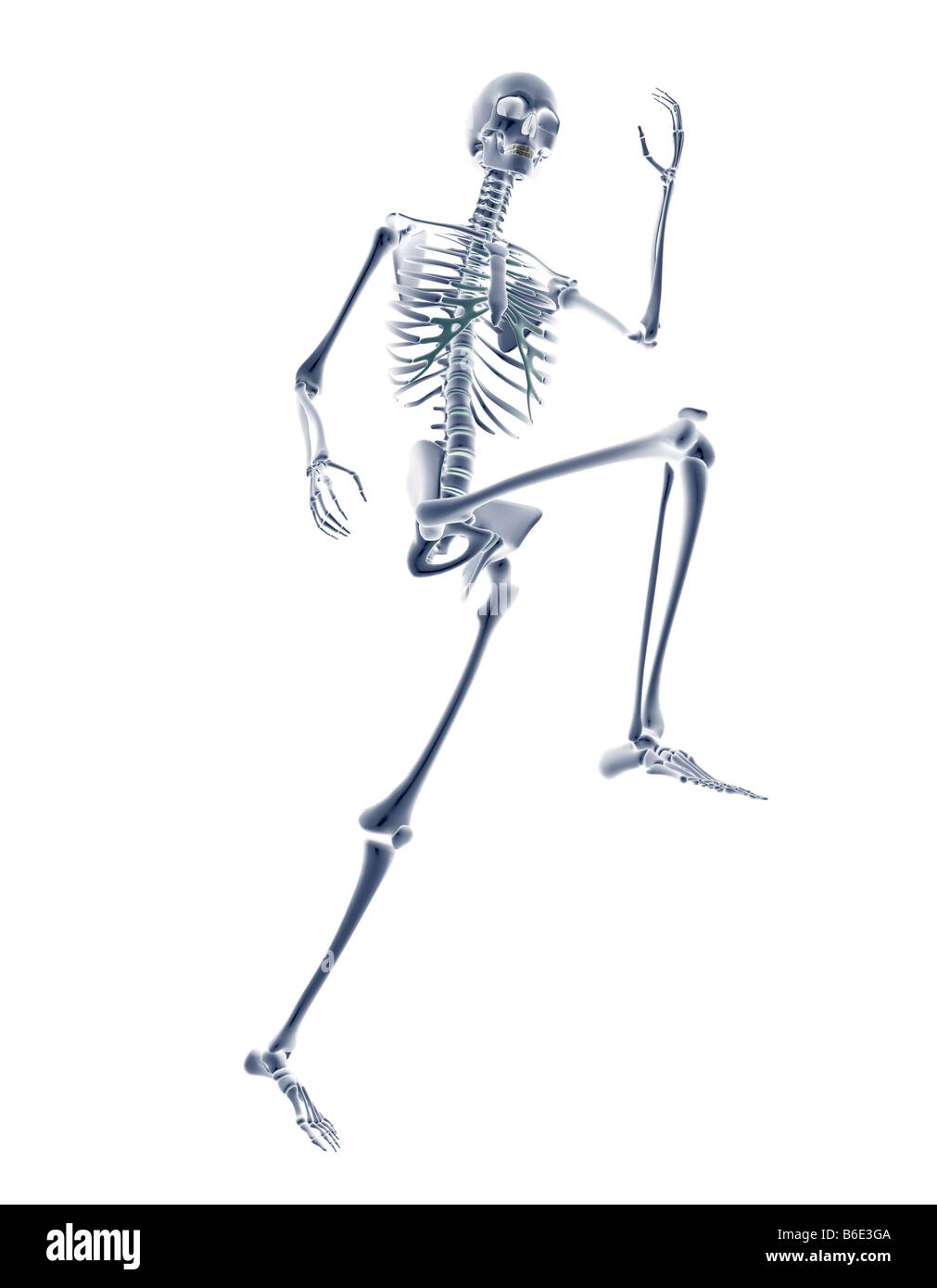 Human skeleton running against black background Stock Photo - Alamy