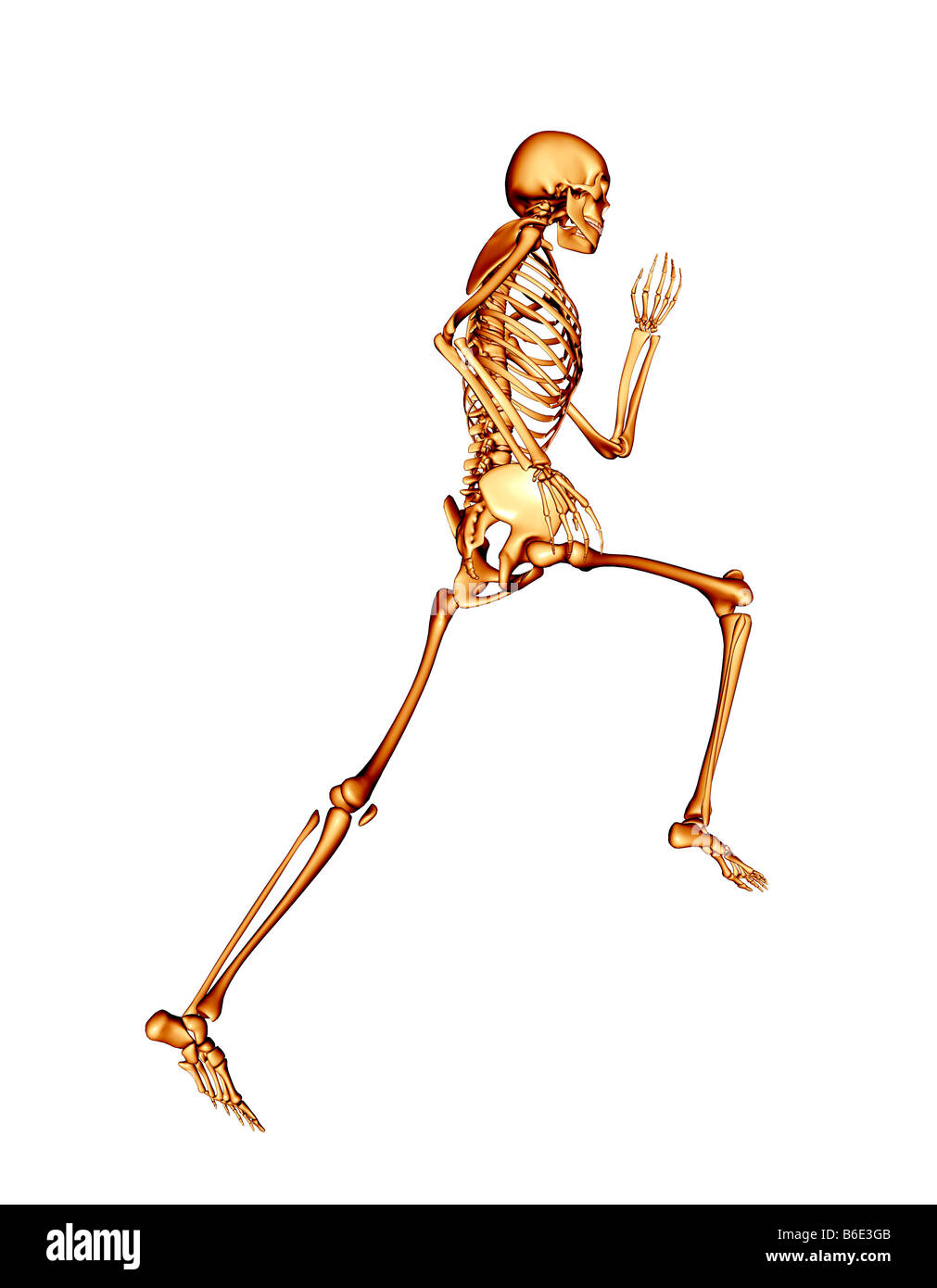 Human skeleton running against black background Stock Photo - Alamy