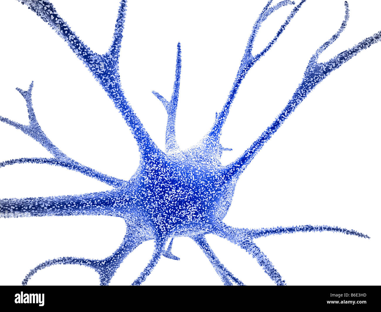 Nerve cell against white background Stock Photo - Alamy
