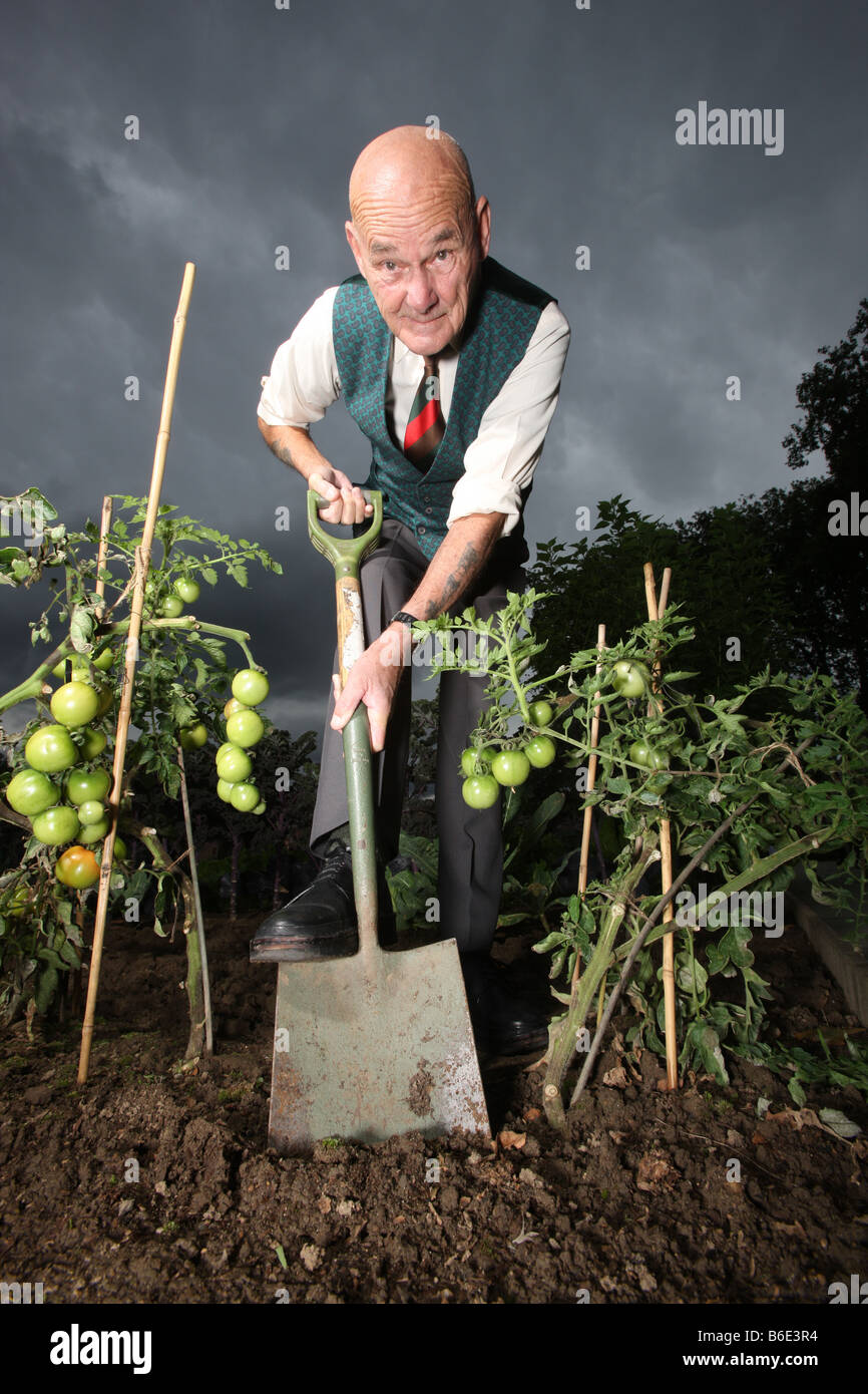 Dig for victory garden hi-res stock photography and images - Alamy