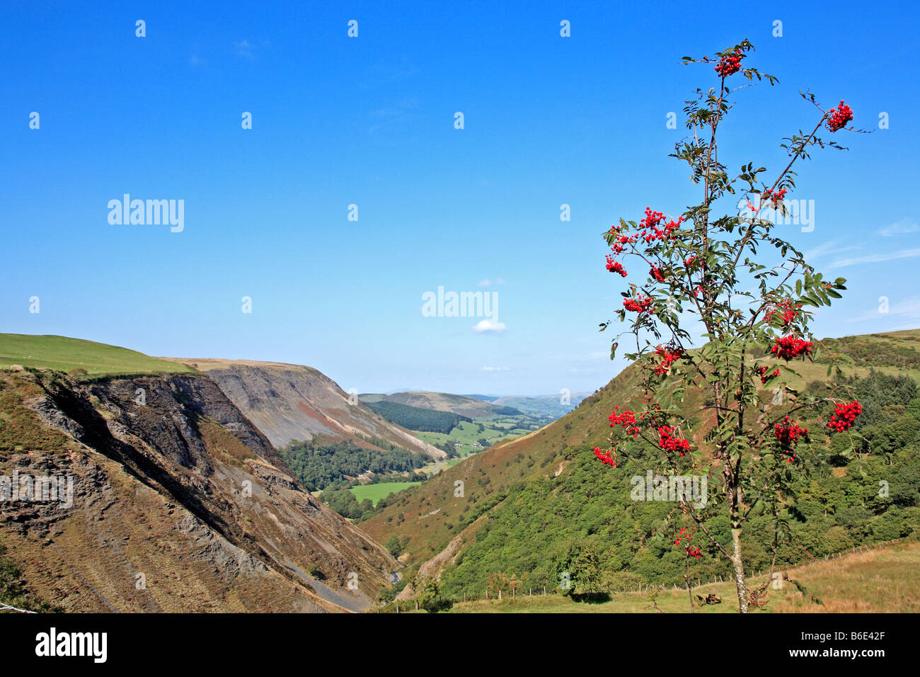 Dylife hi-res stock photography and images - Alamy