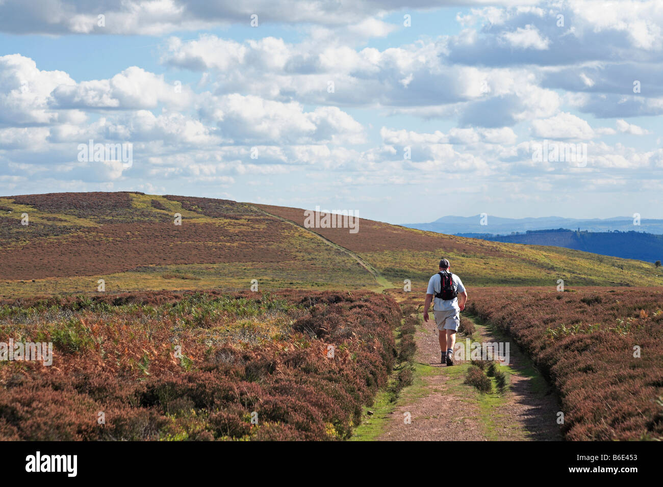 Long mynd shropshire walking hi-res stock photography and images - Alamy