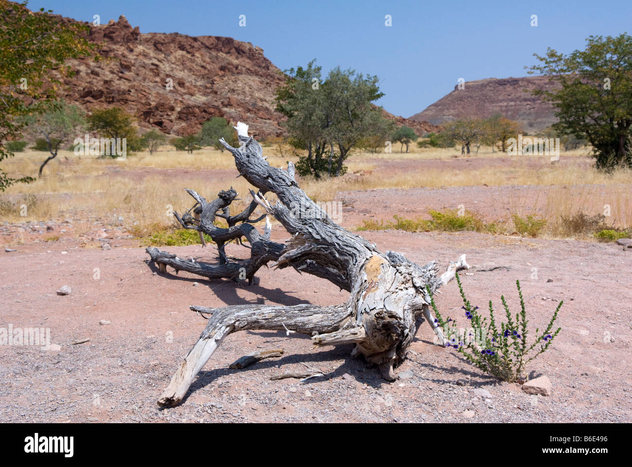 Twyfelfontein damaraland namibia hi-res stock photography and images ...