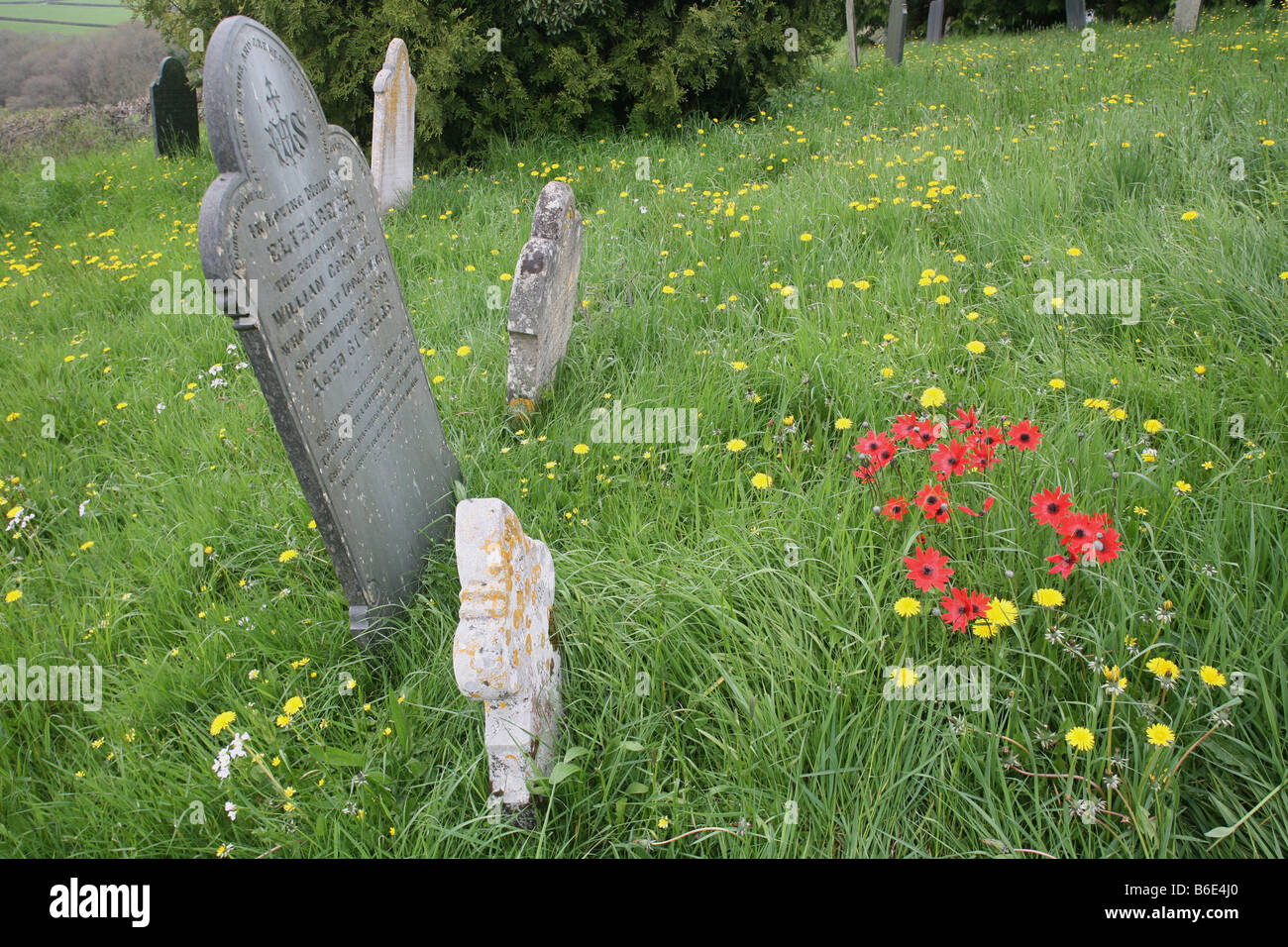 Devon graveyard hi-res stock photography and images - Alamy