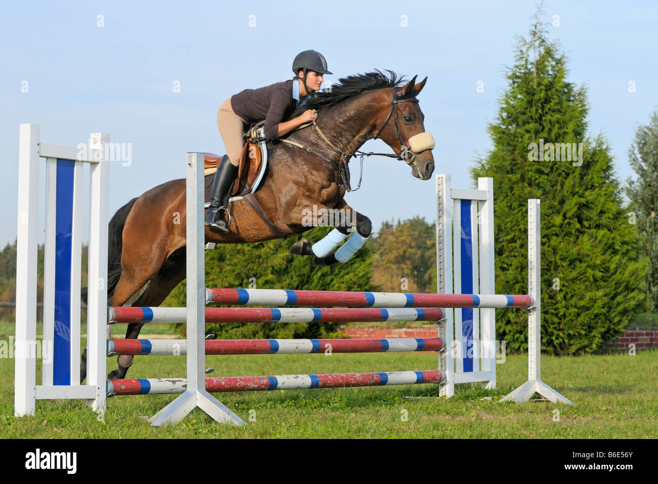 Back view horse jumping hi-res stock photography and images - Alamy