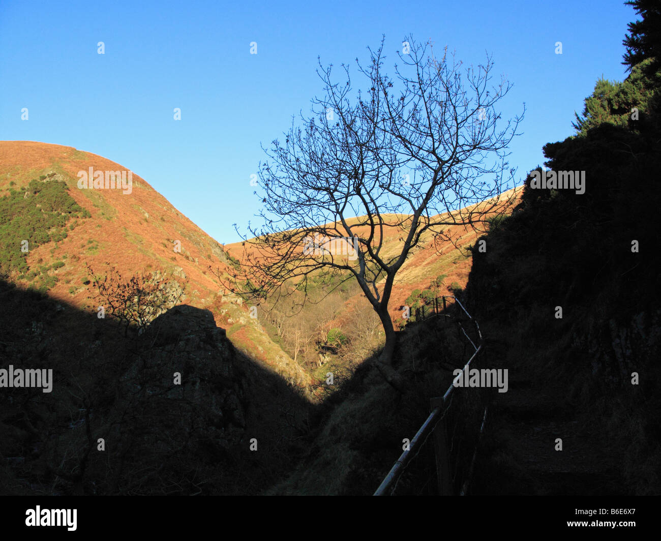 Tillicoultry Stock Photos & Tillicoultry Stock Images - Alamy