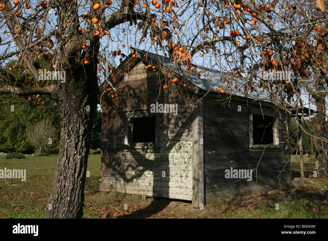 A shack in the country Stock Photo - Alamy
