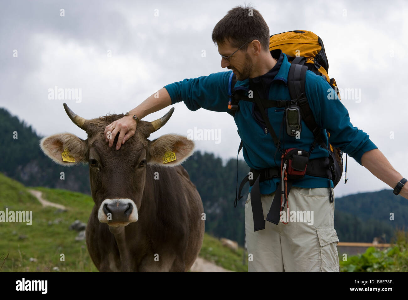 Alm cow man hi-res stock photography and images - Alamy