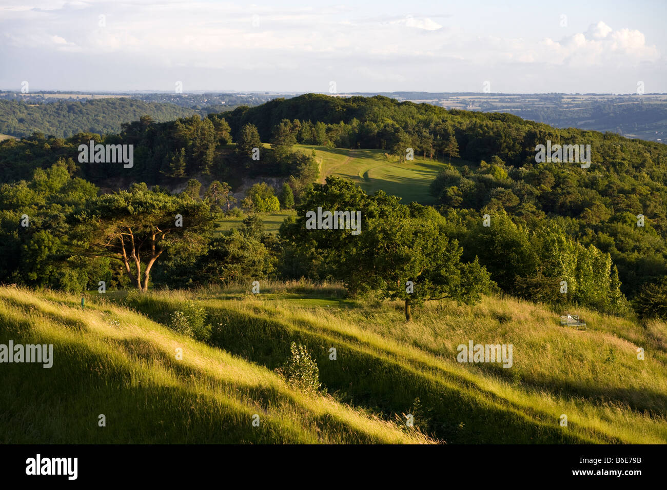 Golf course landscape hi-res stock photography and images - Alamy